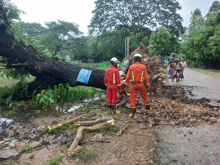 လပွတ္တာမြို့နယ်တွင် လေပြင်းတိုက်ခတ်မှုကြောင့် သစ်ပင်များလဲကျမှုဖြစ်ပွား